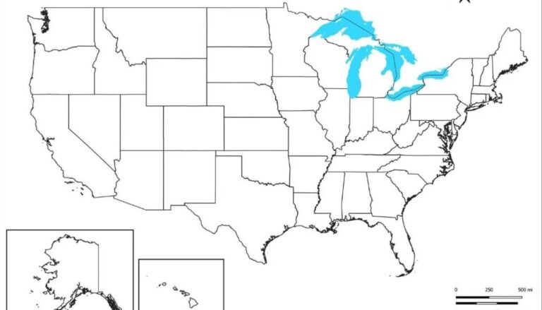 Us blank map with state borders